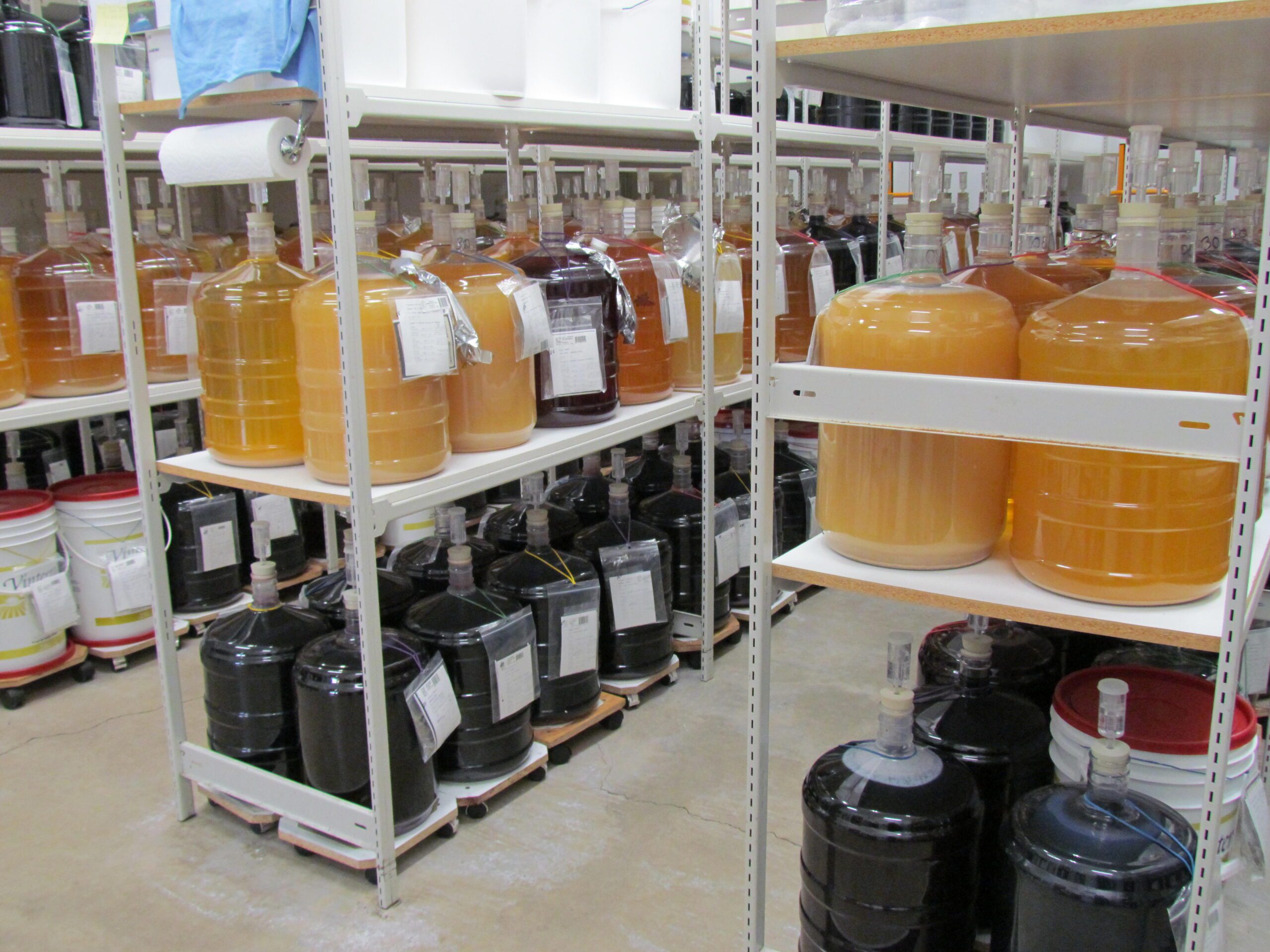 Tour of our Nursery (AKA The Fermentation Room) | winexpertmoncton.com